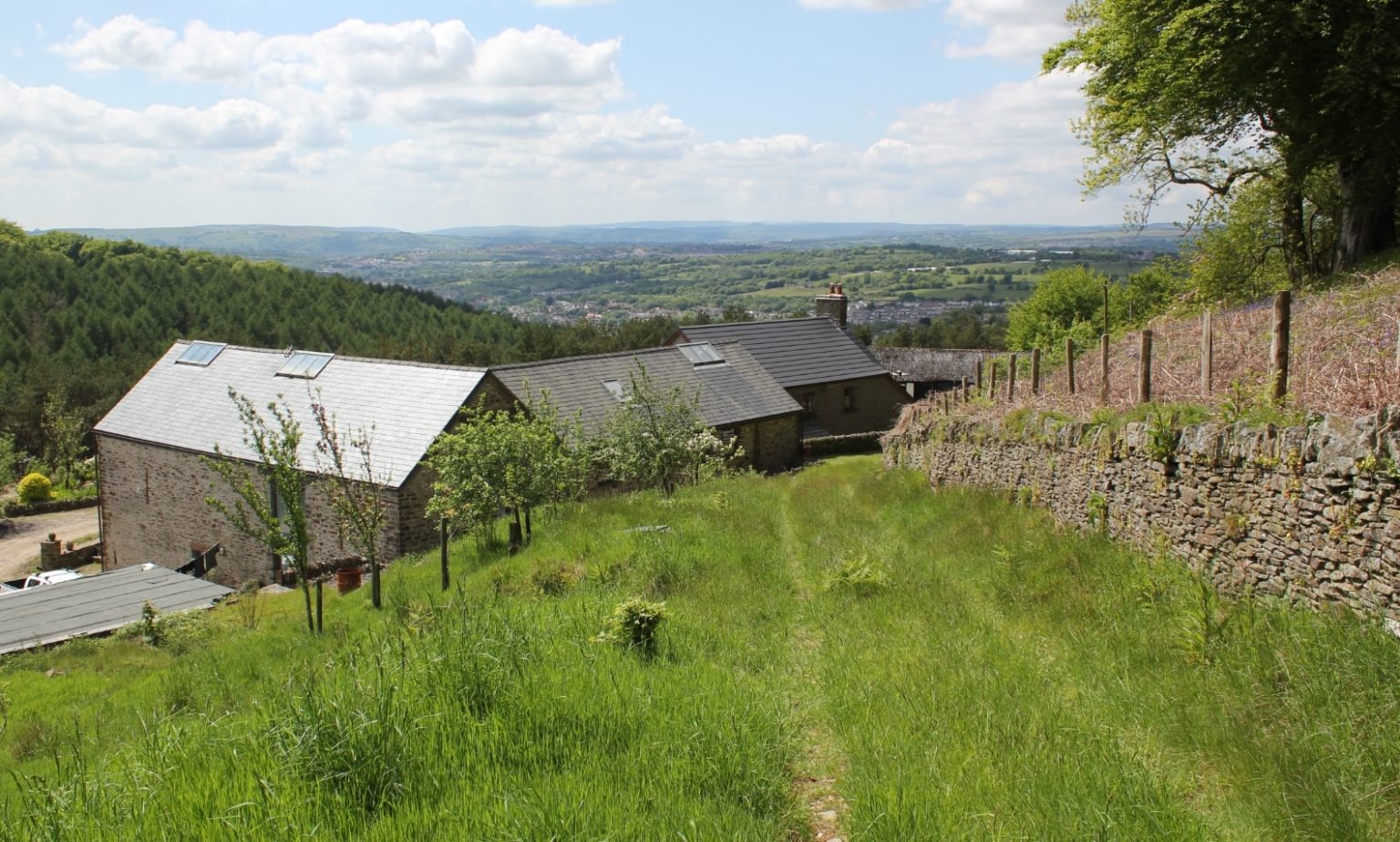 Hallets Cider | Celf Creative