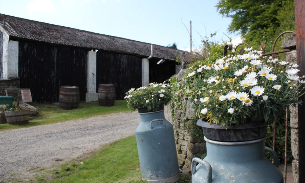 Hallets Cider | Celf Creative